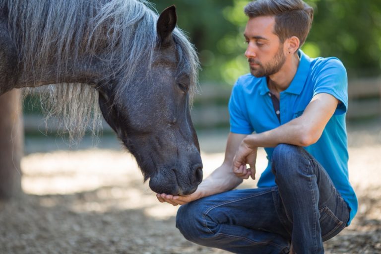 Der Hund: ein treuer Menschenkenner. Living with dogs #1 | Wellness ...