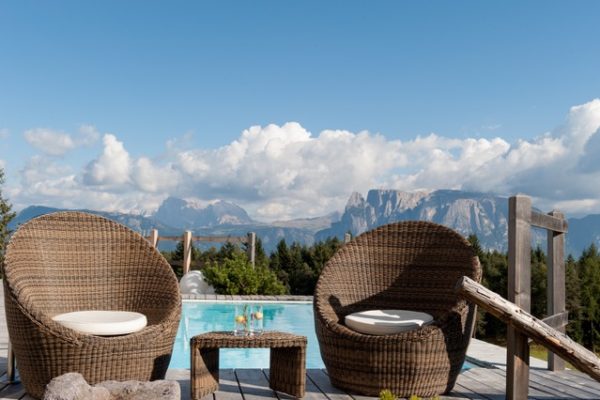 Zirbenzauber im Tann(wald) | Wellness Magazin – The way of life