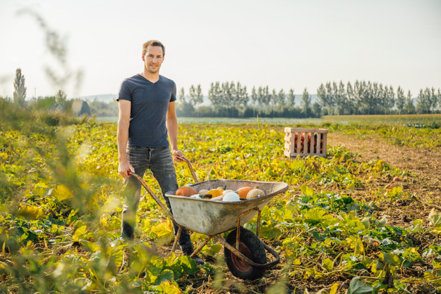 Online-Supermarkt gurkerl.at startet in Wien & Umgebung | Wellness ...